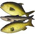 Amazon.com: 3 Large Artificial Fish- 12 to 16 in - Premium Quality ...
