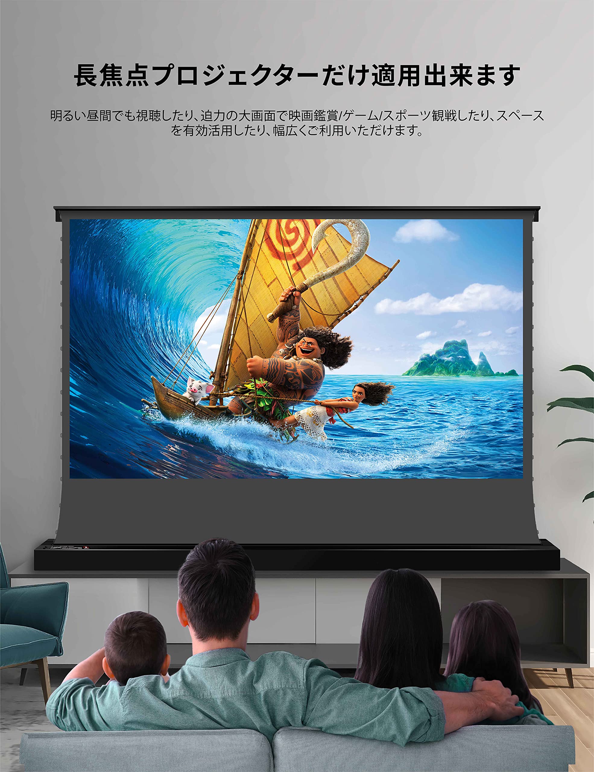 Mua Home Theater Screen Projector 100