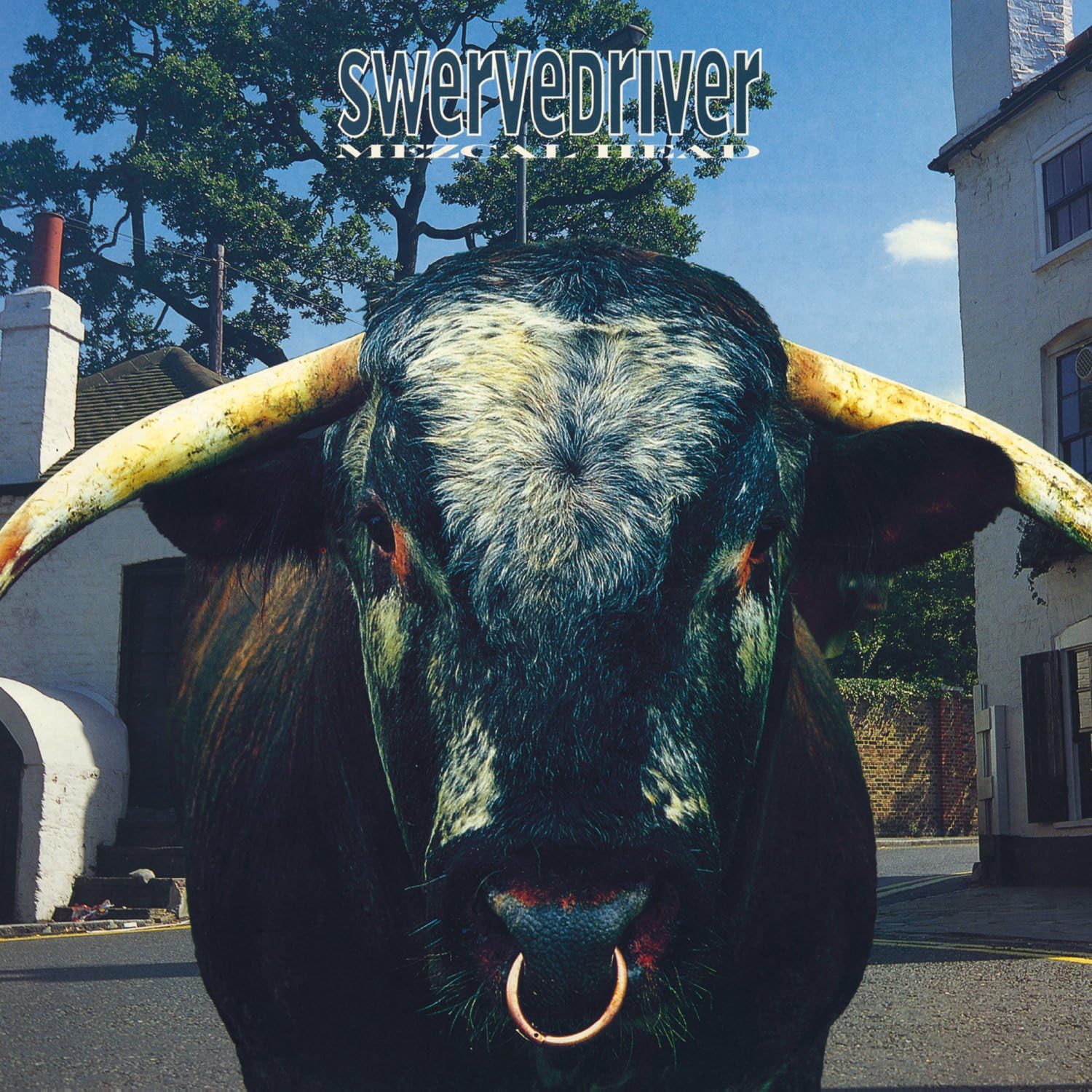 Mezcal Head (Vinyl): Swervedriver, Swervedriver, Swervedriver: Amazon ...