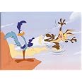 Amazon.com: Magnet - Looney Tunes - Road Runner and Wile E. Coyote ...