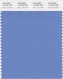 PANTONE SMART 18-2436X Color Swatch Card, Fuchsia Purple - House Paint ...