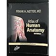 Atlas of Human Anatomy, 4th Edition (Netter Basic Science ...
