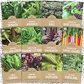 Amazon.com : Container Garden Vegetable and Herb Seeds Organic Variety ...