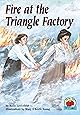 Fire at the Triangle Factory (On My Own History): Littlefield, Holly ...