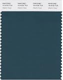 Pantone 19-4033 TCX Smart Color Swatch Card, Poseidon - House Paint ...