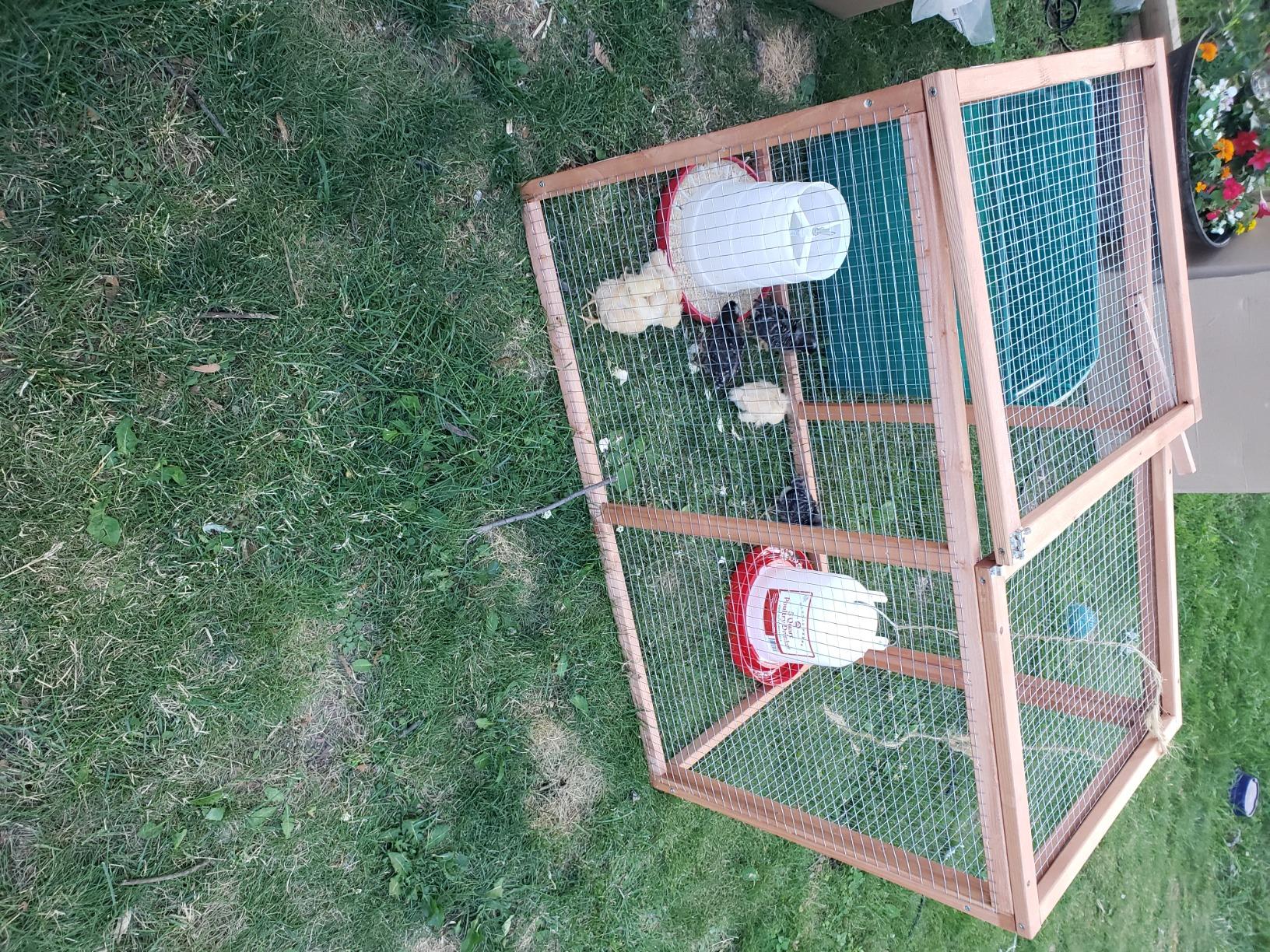 $37/mo - Finance Feelway Wooden Chicken Coop Chick Cage w/Egg Box Run ...