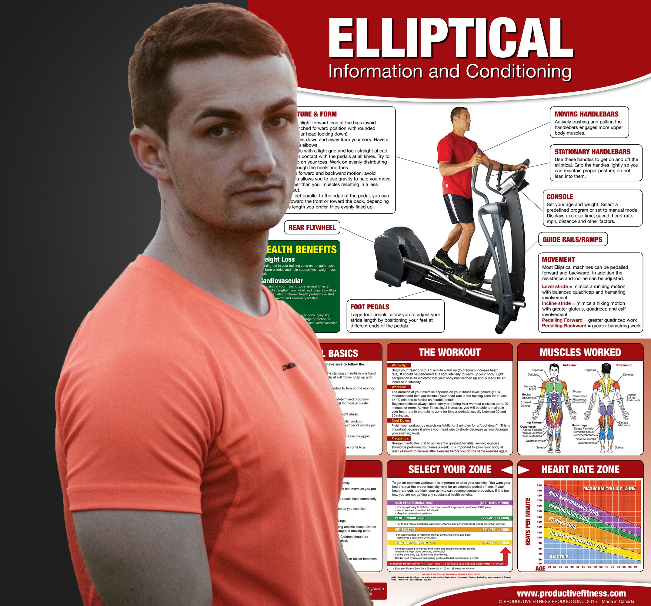 Art ELLIPTICAL TRAINER Professional Cardio Instructional Fitness Wall ...