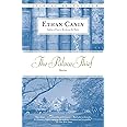 The Palace Thief: Stories: Canin, Ethan: 9780812976175: Amazon.com: Books