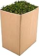 Amazon.com: SuperMoss (25326) Forest Moss Preserved, Fresh Green, 5lbs ...