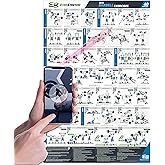 Amazon.com: EverStretch Bodyweight Workout Poster for Home Gym - with ...