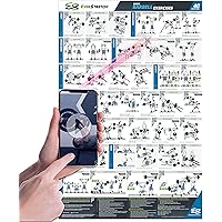 Amazon.com: EverStretch Bodyweight Workout Poster for Home Gym - with ...