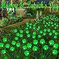 Amazon.com : 2 Pack St Patricks Day Decorations Solar Outdoor Lights ...