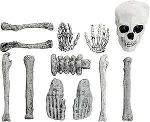 Amazon.com : Halloween Haunters 12 Piece Bag of Plastic Skeleton Skull ...