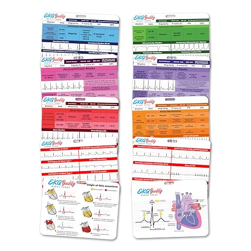 EKG Buddy's 5 Card EKG Interpretation Badge Set - Doubled Sided Nurse ...