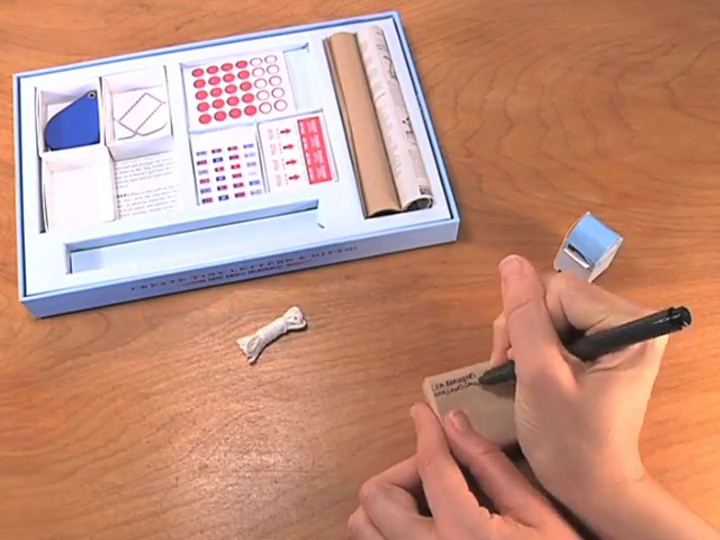 The World's Smallest Post Service: Lea Redmond: 9780811876582: Amazon ...