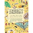 Insect Anatomy: The Curious World of Bees, Beetles, Butterflies, and ...