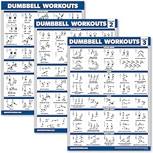 Amazon.com: 3 Pack - Dumbbell Workout Posters for Home Gym - Volume 1 ...