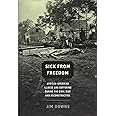 Sick from Freedom: African-American Illness and Suffering during the ...