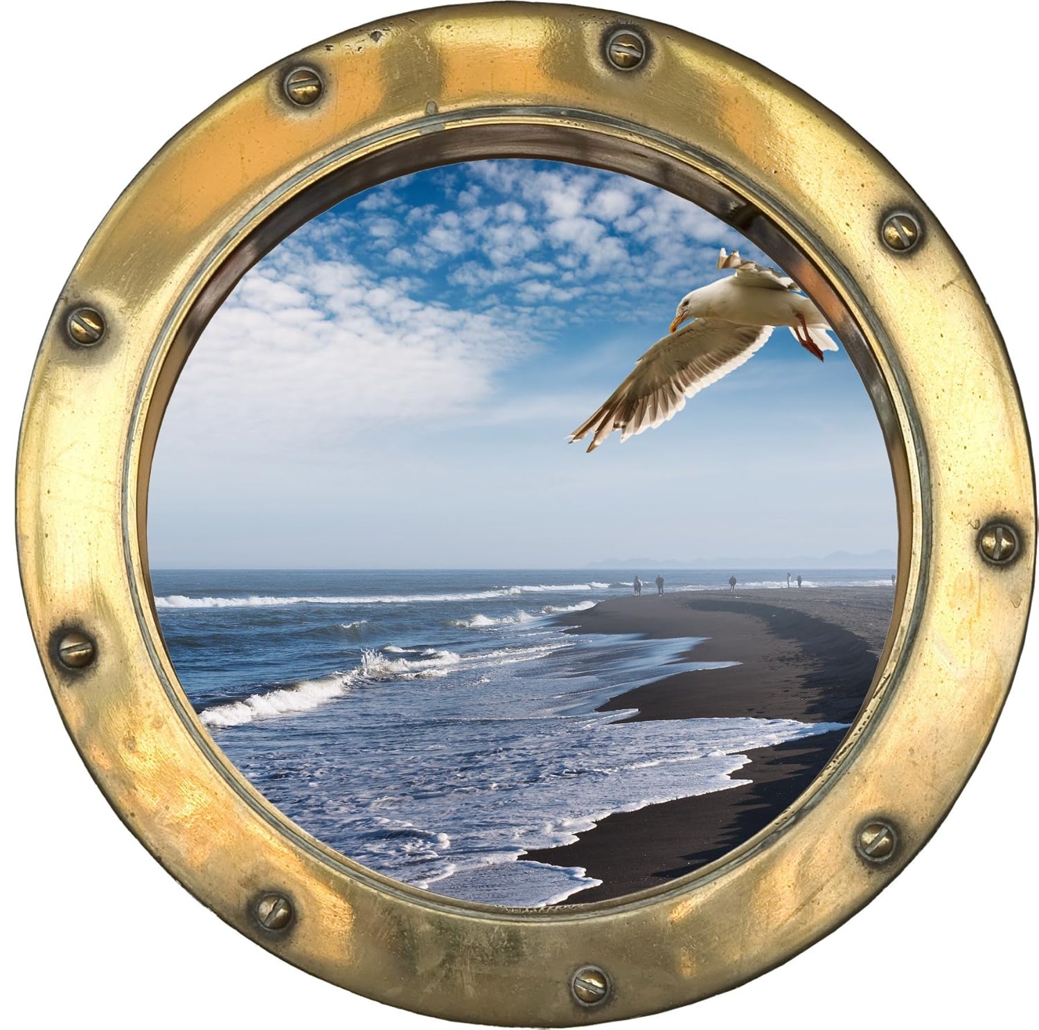 StickersNews Wandtattoo Bullauge Möwe Ref H316, 20x20cm: Amazon.de ...