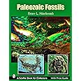Paleozoic Fossils (Schiffer Book for Collectors): Stinchcomb, Bruce L ...
