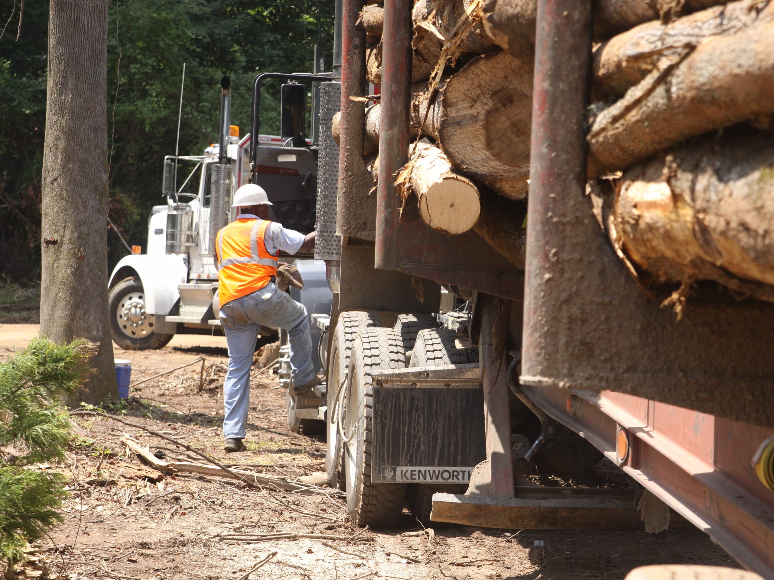 Watch Swamp Loggers - Season 1 | Prime Video