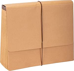 Amazon.com : Esselte Pendaflex Full-Flap Daily Expanding Files ...