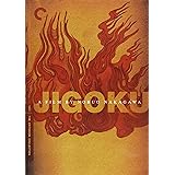 Amazon.com: Mala Noche (The Criterion Collection) [DVD] : Tim Streeter ...