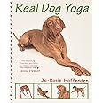 Doga: Yoga for You and Your Dog: Recchione, Lisa: 9780615976174: Books ...