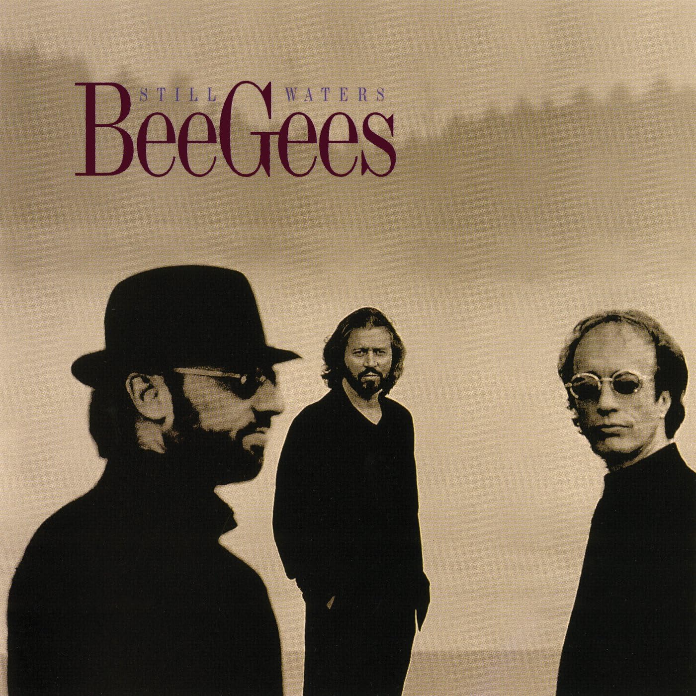 Still Waters: Bee Gees: Amazon.it: Musica