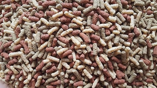 (200g) Premium Turtle, Terrapin, Reptile Pellets Food, Water, Aquatic ...