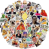 Amazon.com: 220PCS Funny Meme Stickers Pack for Laptop, Trendy Vinyl ...
