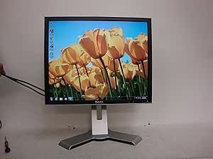Amazon.com: Dell 1908FP 19" Flat Panel Monitor - 1908FPC : Electronics