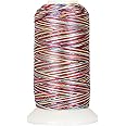 Amazon.com: Variegated Polyester Embroidery Thread by Threadart - 40wt ...