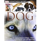 DK Eyewitness Books: Cat: Clutton-Brock, Juliet: 9781465420503: Amazon ...