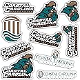 Amazon.com: Desert Cactus Coastal Carolina University Sticker ...