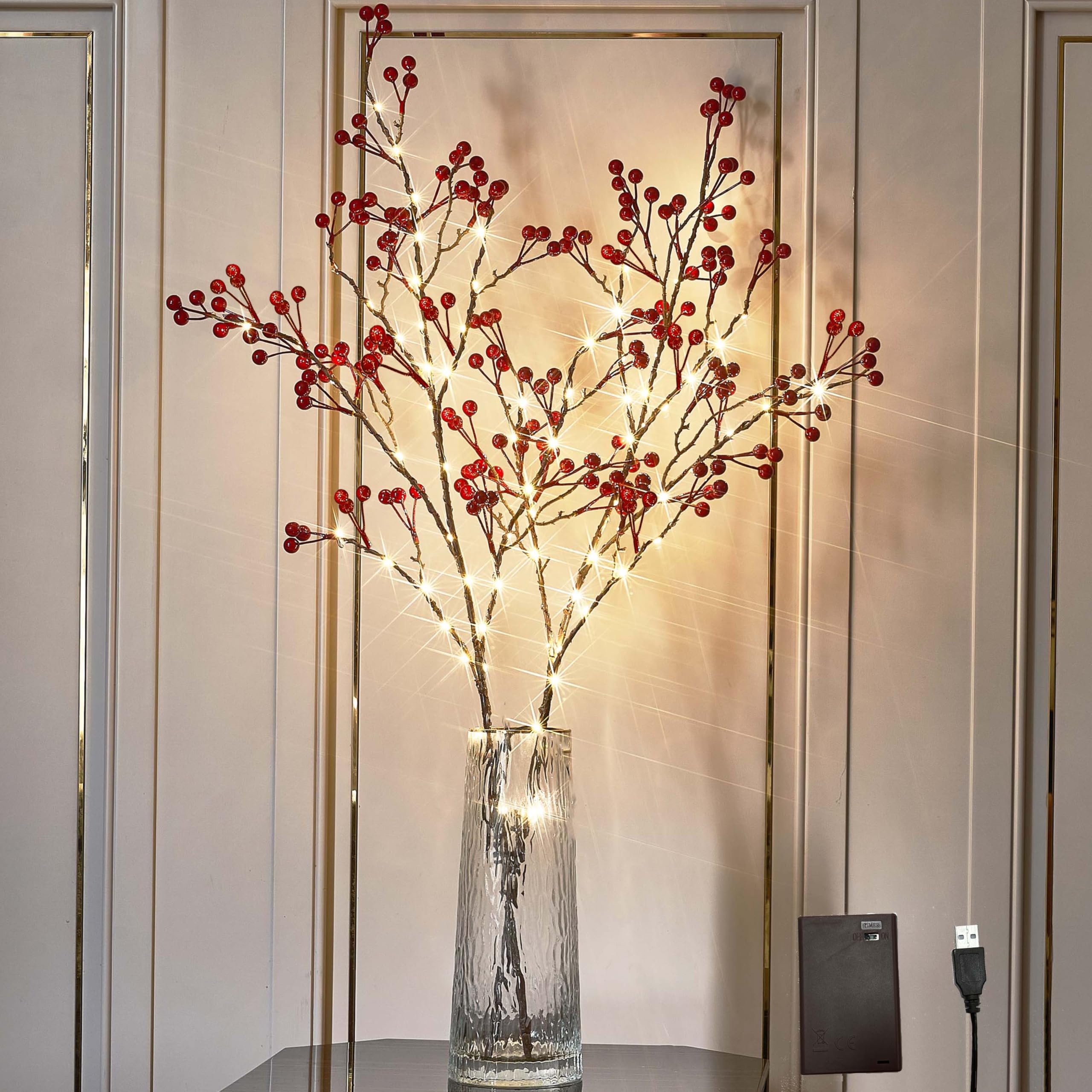 Hairui Red Berry Branches with Lights 32IN Battery Operated and USB ...