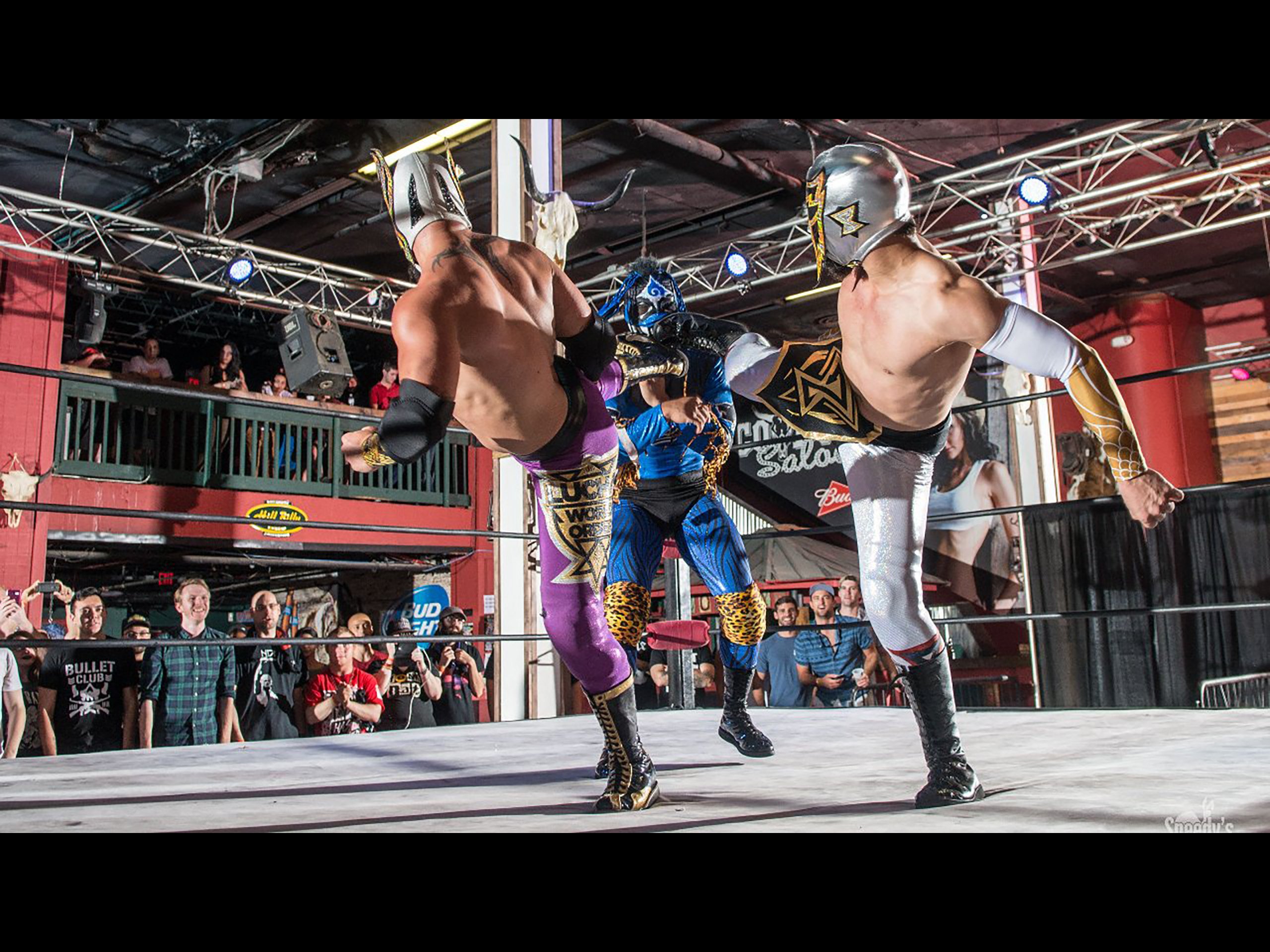 Watch FEST Wrestling - 2016 | Prime Video