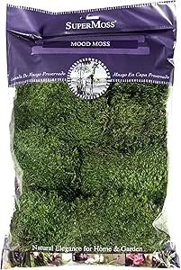 Amazon.com: Supermoss Mood Moss Preserved Natural Green 1200cuin : Arts ...