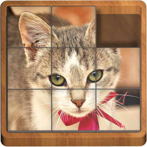 Sliding Blocks Kittens FireTV:Amazon.com:Appstore for Android