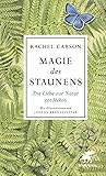 Der stumme Frühling: Amazon.de: Carson, Rachel, Lepore, Jill, Auer ...