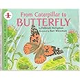 From Caterpillar to Butterfly (Let's-Read-and-Find-Out Science, Stage 1 ...