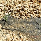 Nutley's 10 x 2 m Weedban 50 Weed Control Fabric - Black: Amazon.co.uk ...