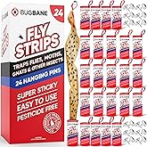 Amazon.com : 10 Fly Strips Indoor Sticky Hanging with Pins. Fly Trap ...