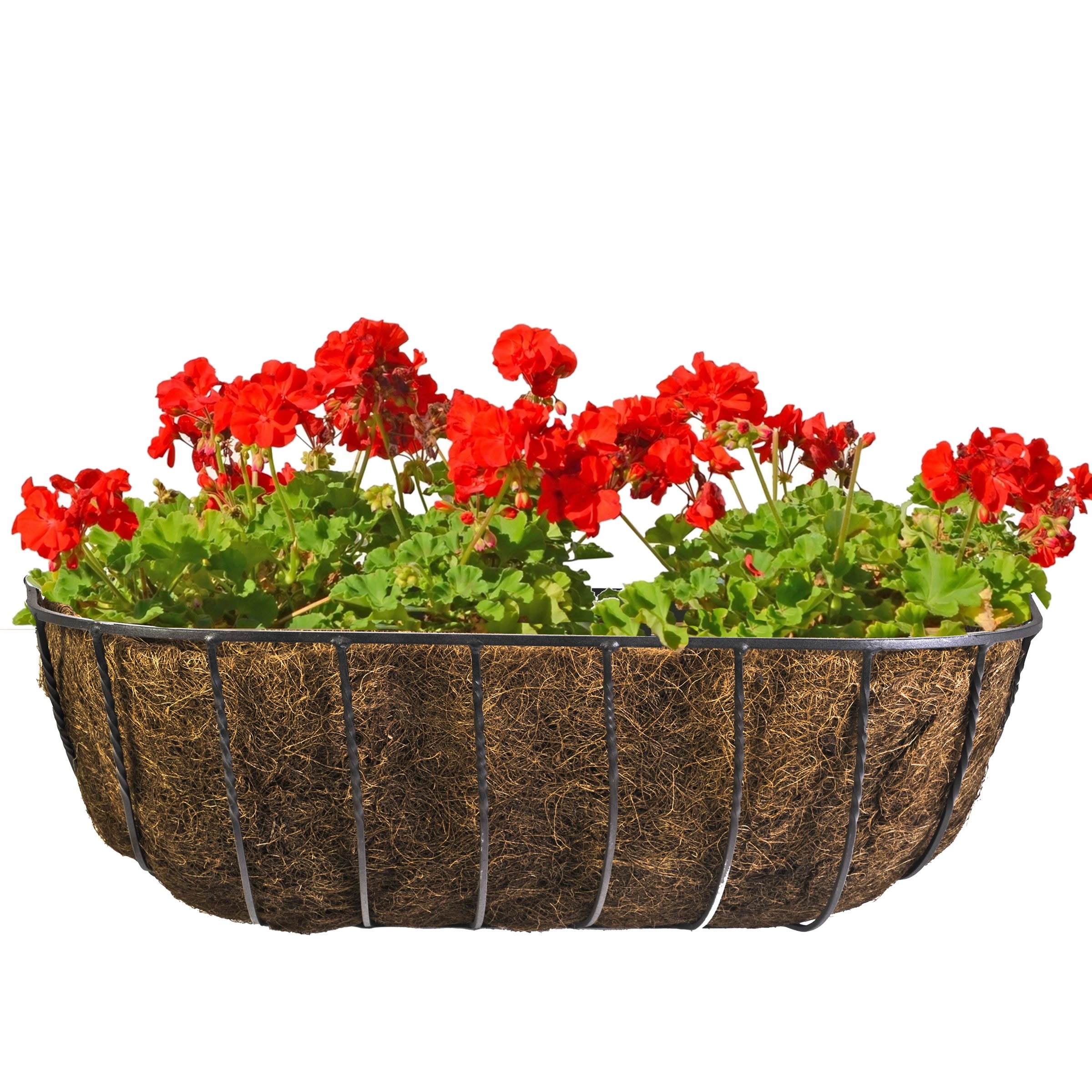 CobraCo Planters Saudi Arabia | Buy Online | Whizz Others