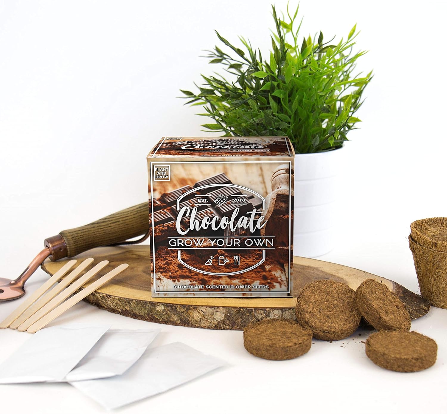 Gift Republic Plant and Grow Chocolate Kit, Multi-Colour – BigaMart