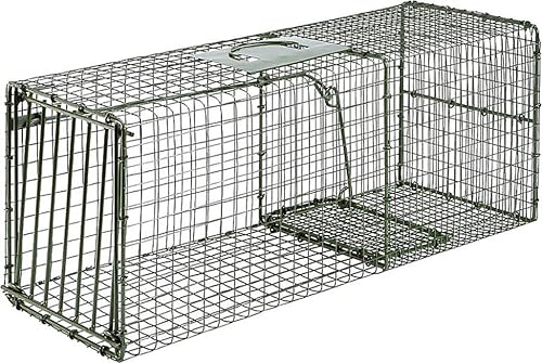 Duke Traps Heavy Duty Large Cage Trap in Kenya | Whizz Traps