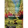 Amazon.com: The Wishing Pool and Other Stories: 9781636141053: Due ...