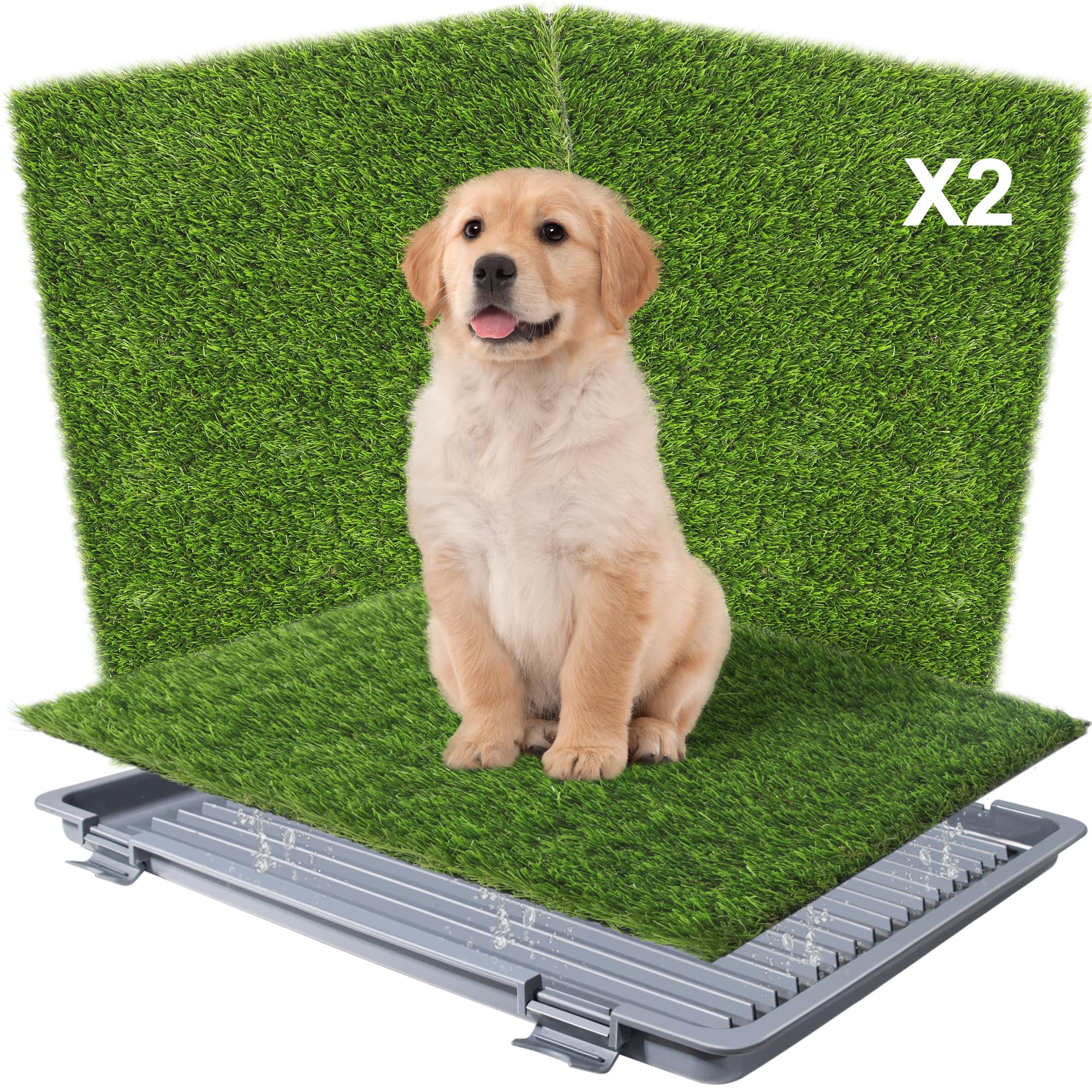 Dog Pad With Tray: Reusable Training Pad with 2-Pack Replaceable ...
