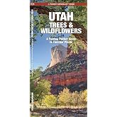 Utah Nature Set: Field Guides to Wildlife, Birds, Trees & Wildflowers ...