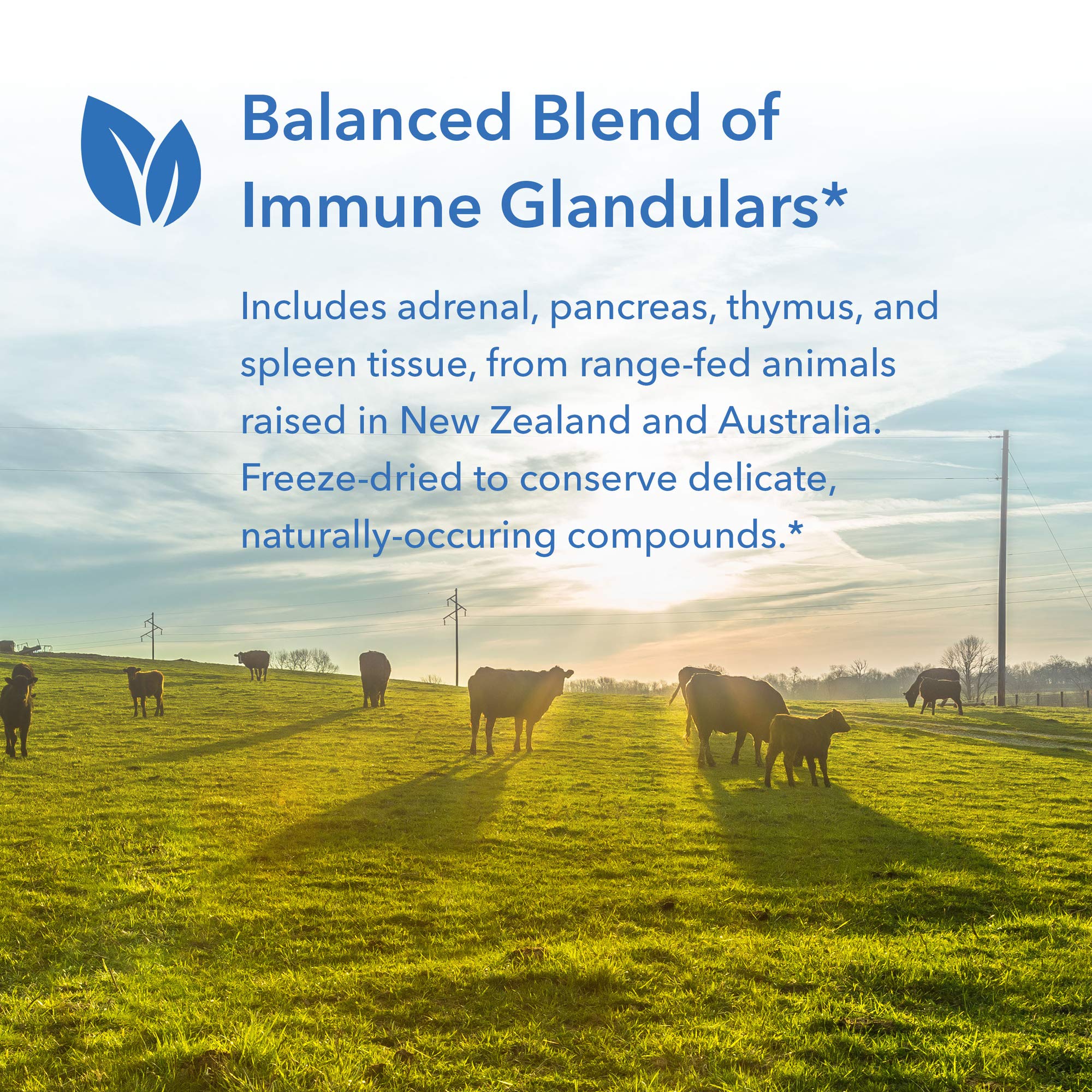 Mua Allergy Research Group Immuno-Gland Plex Supplement - Grassfed ...